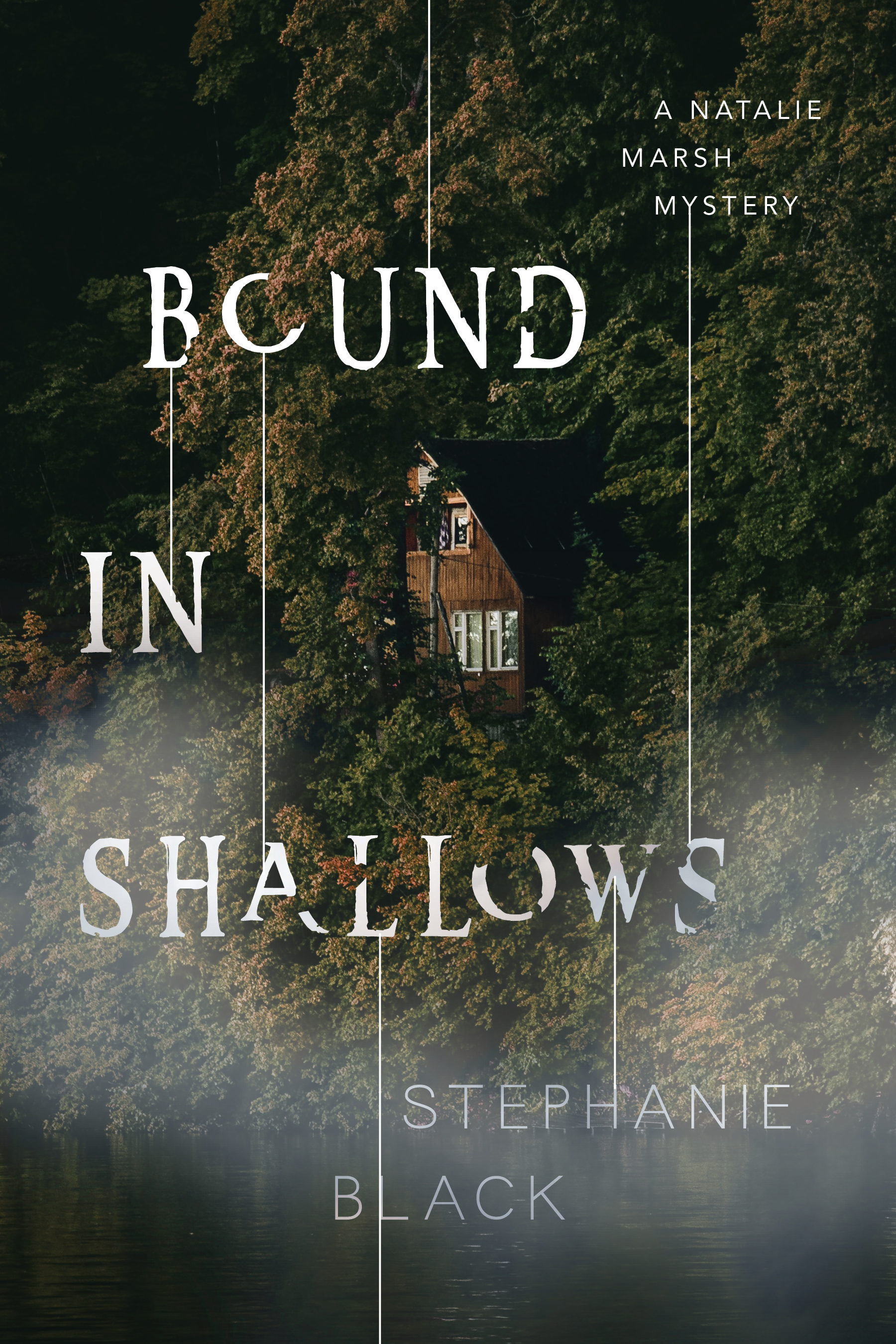 Books – Stephanie Black