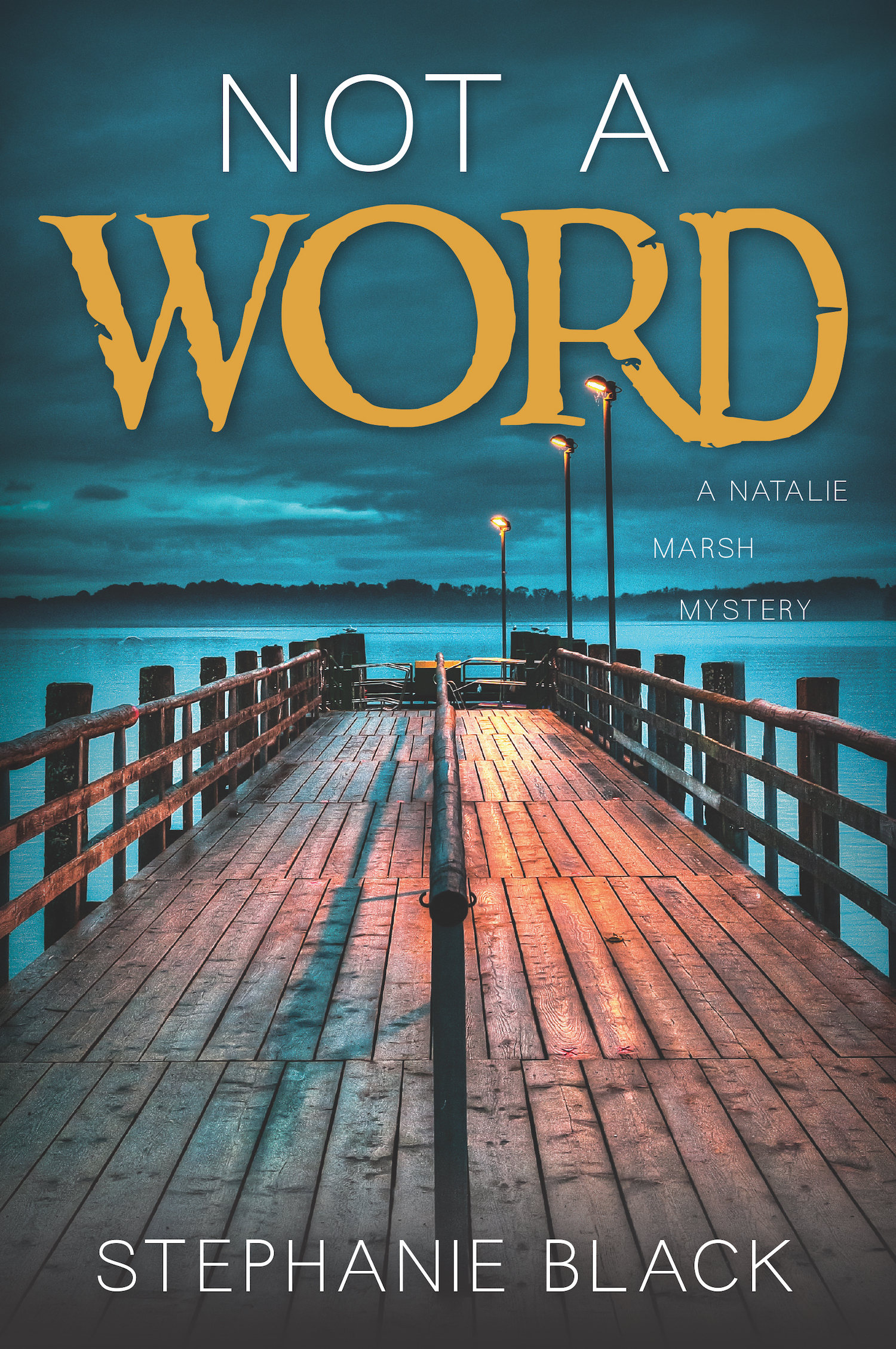 Books – Stephanie Black